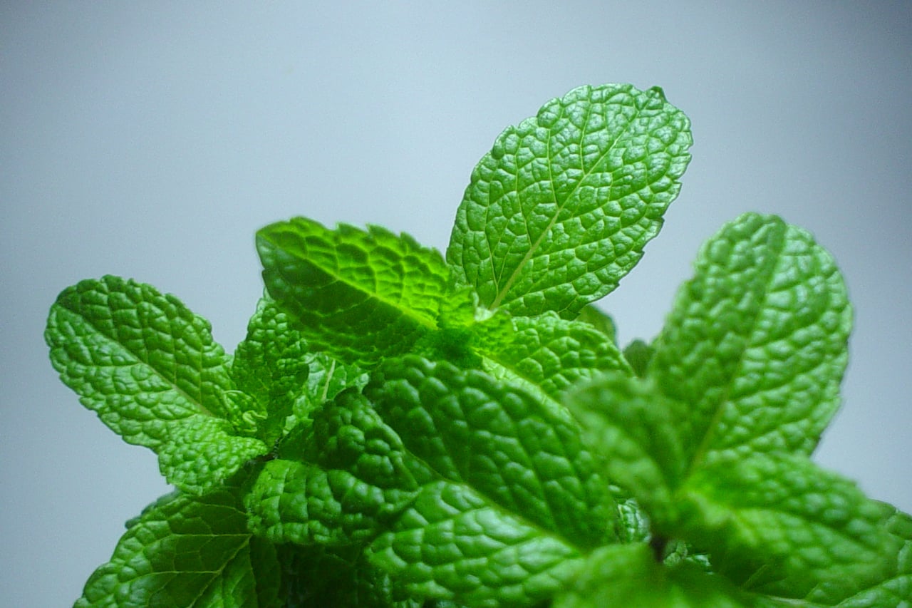 GravityView version 1.15.2 - GravityKit