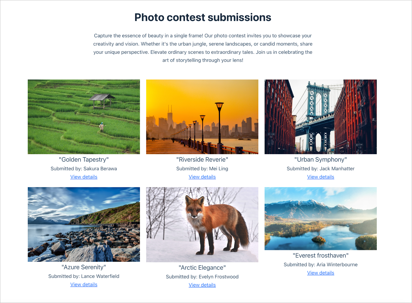 How to build a photo contest site on WordPress - GravityKit